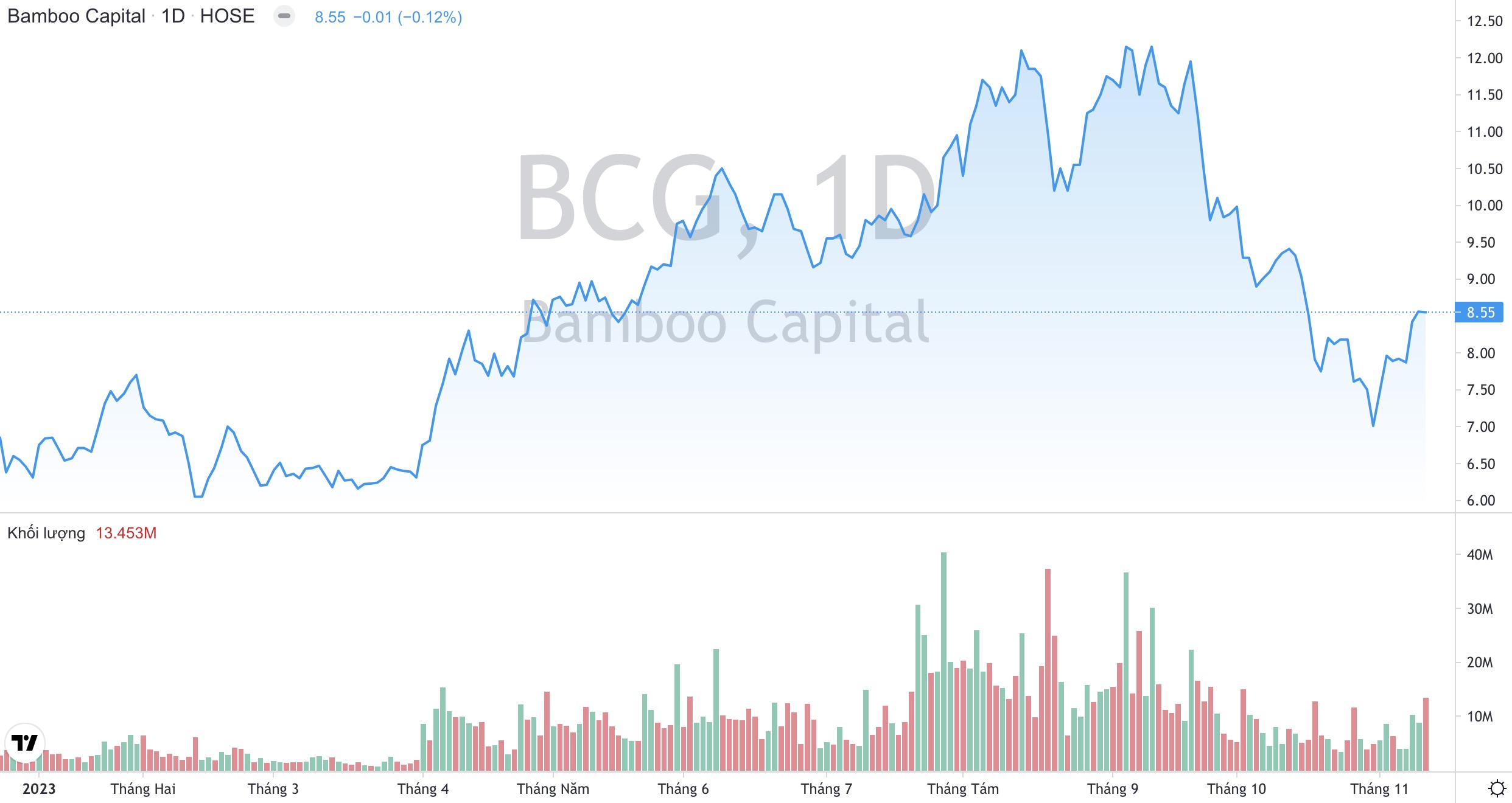Lãnh đạo Bamboo Capital (BCG) thoái vốn thành công, gia tăng đầu tư vào ...