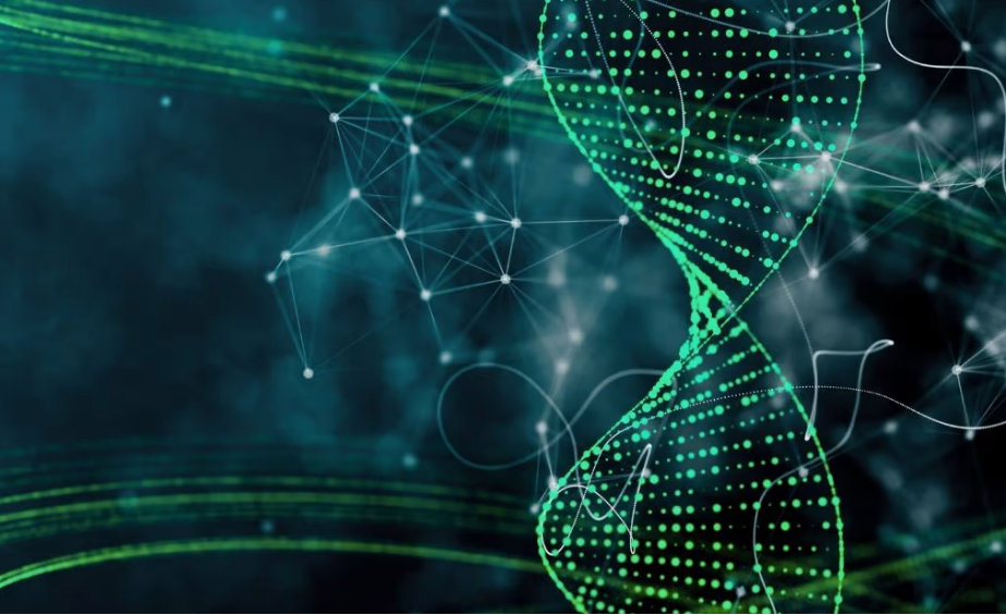 Kỹ thuật mới giúp chỉnh sửa gene động vật nhanh hơn, quy mô lớn hơn ...