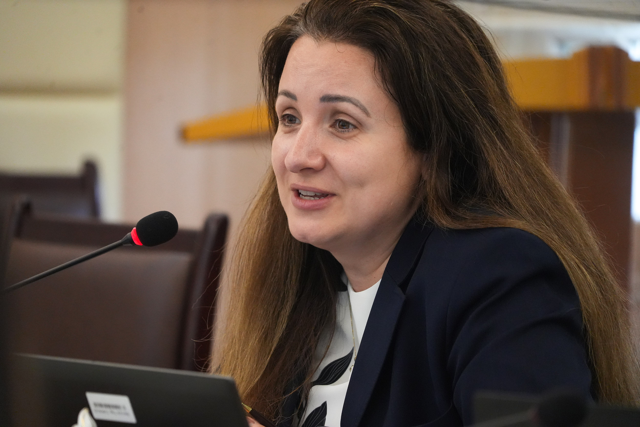 Hiệp hội Ngân hàng Việt Nam làm việc với nhóm công tác của IFC